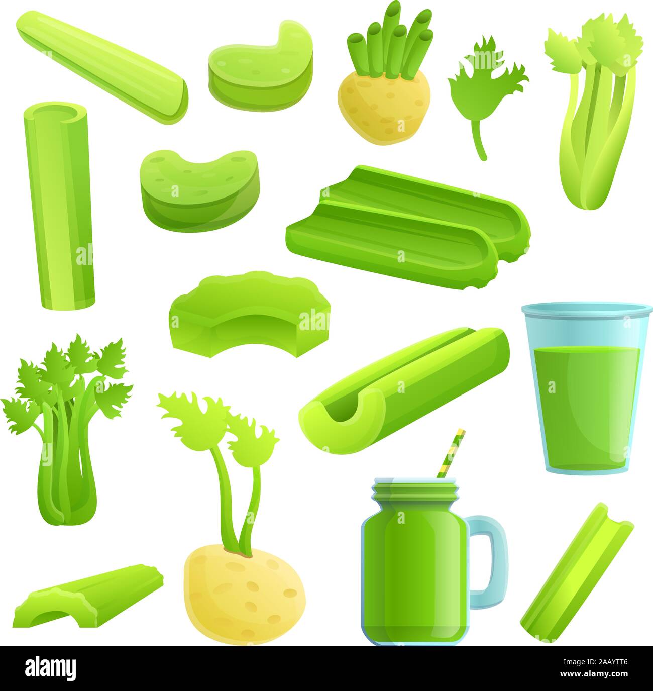 Sellerie Symbole gesetzt. Cartoon von sellerie Vector Icons für Web ...