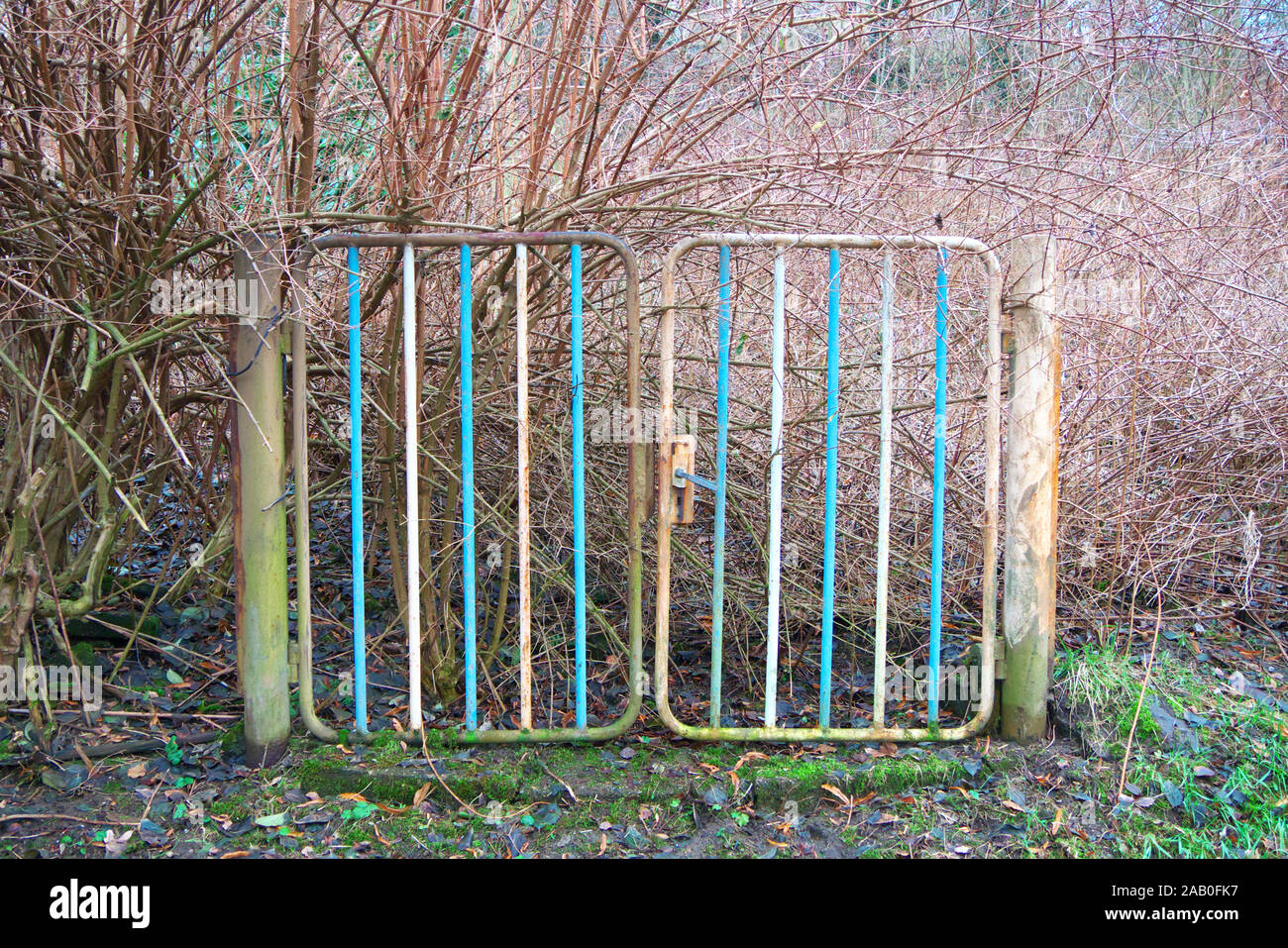 Alter tor -Fotos und -Bildmaterial in hoher Auflösung – Alamy