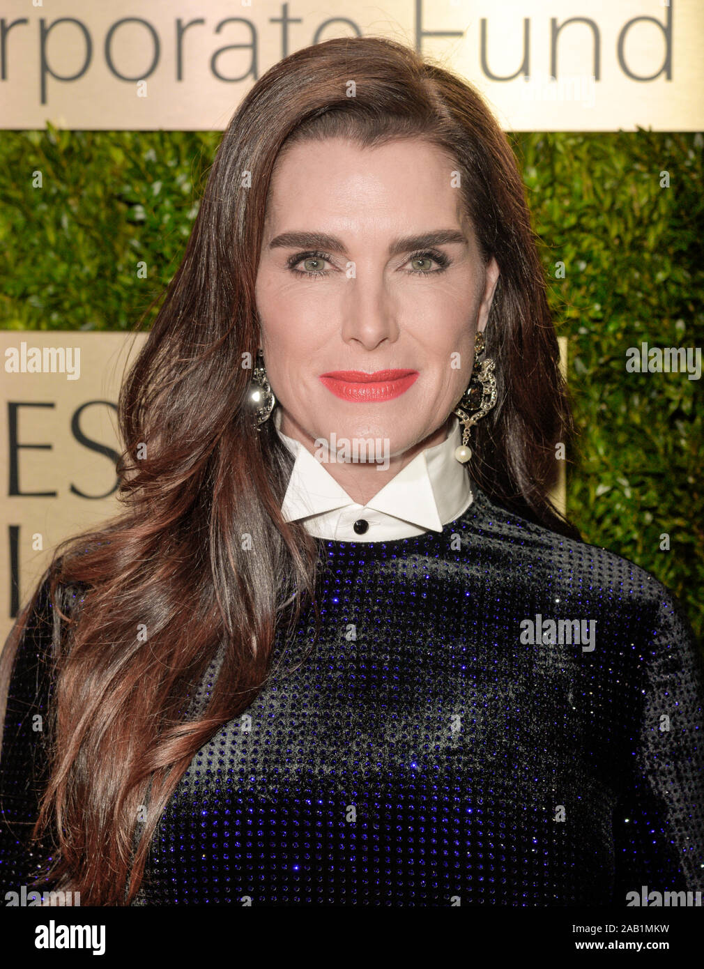 New York, NY - 18. November 2019: Brooke Shields tragen Kleid von Ralph ...