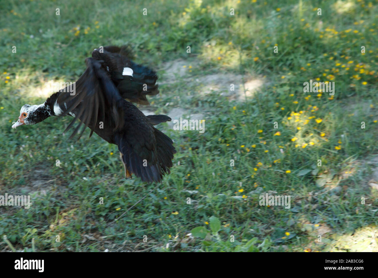 Unter der erde -Fotos und -Bildmaterial in hoher Auflösung – Alamy