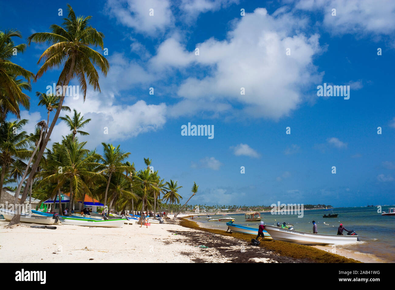 Sargassum punta cana dominican republic -Fotos und -Bildmaterial in ...