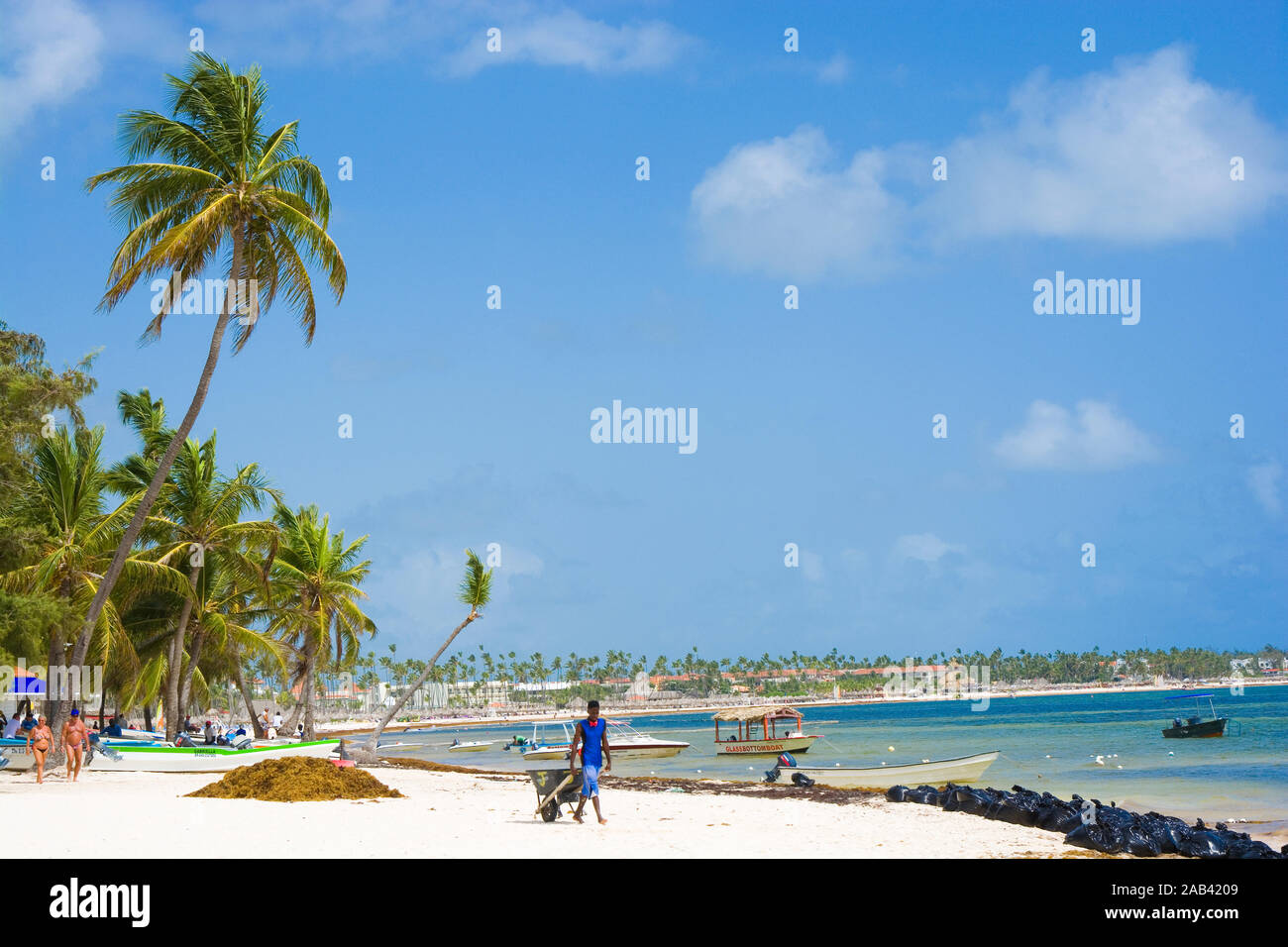 Sargassum punta cana dominican republic -Fotos und -Bildmaterial in ...