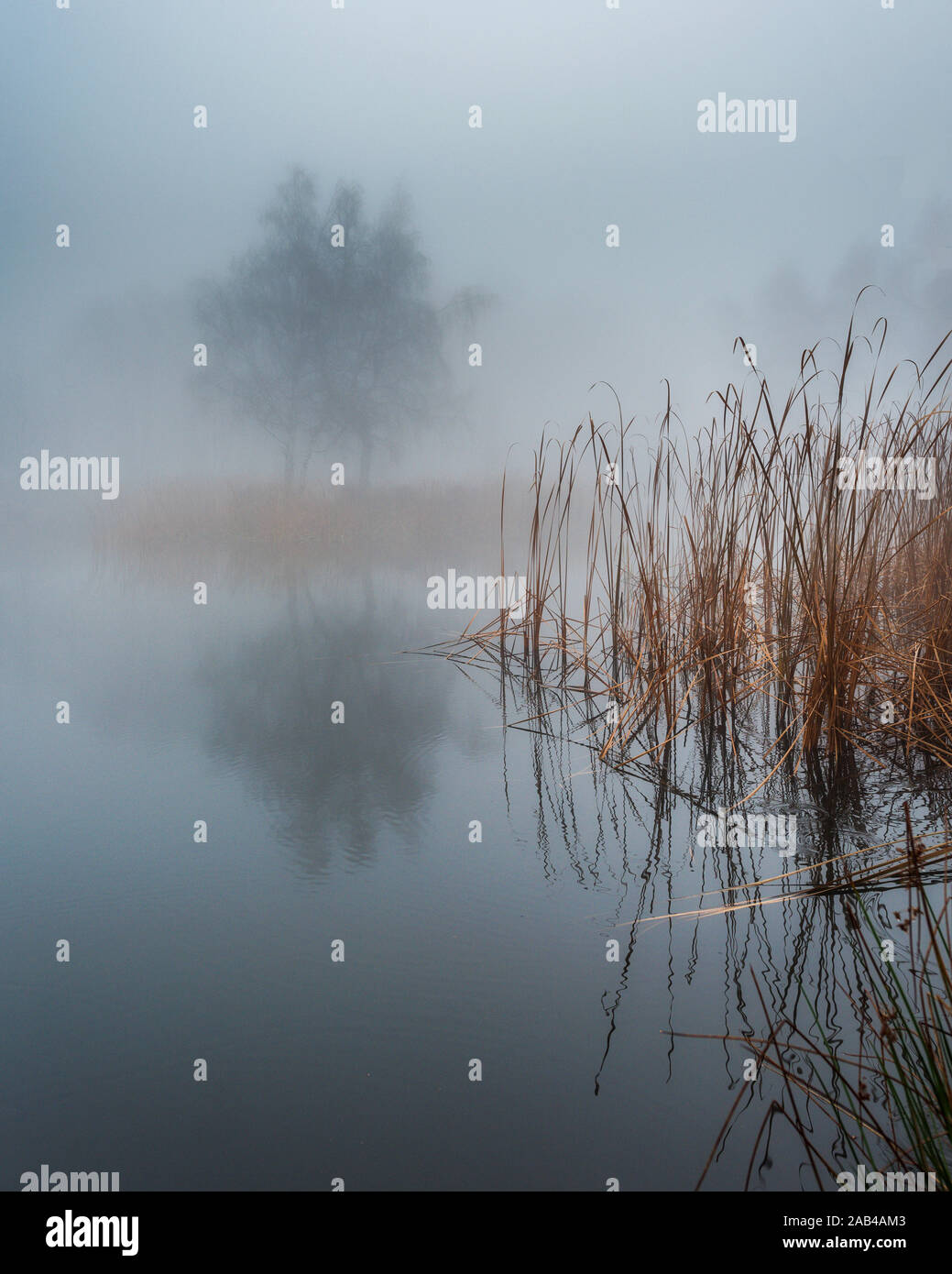 Kleine insel bei sonnenaufgang und morgennebel -Fotos und -Bildmaterial ...