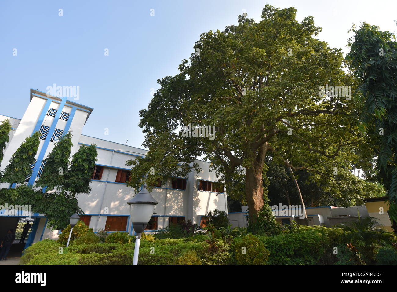 Bengalischer mandelbaum -Fotos und -Bildmaterial in hoher Auflösung – Alamy