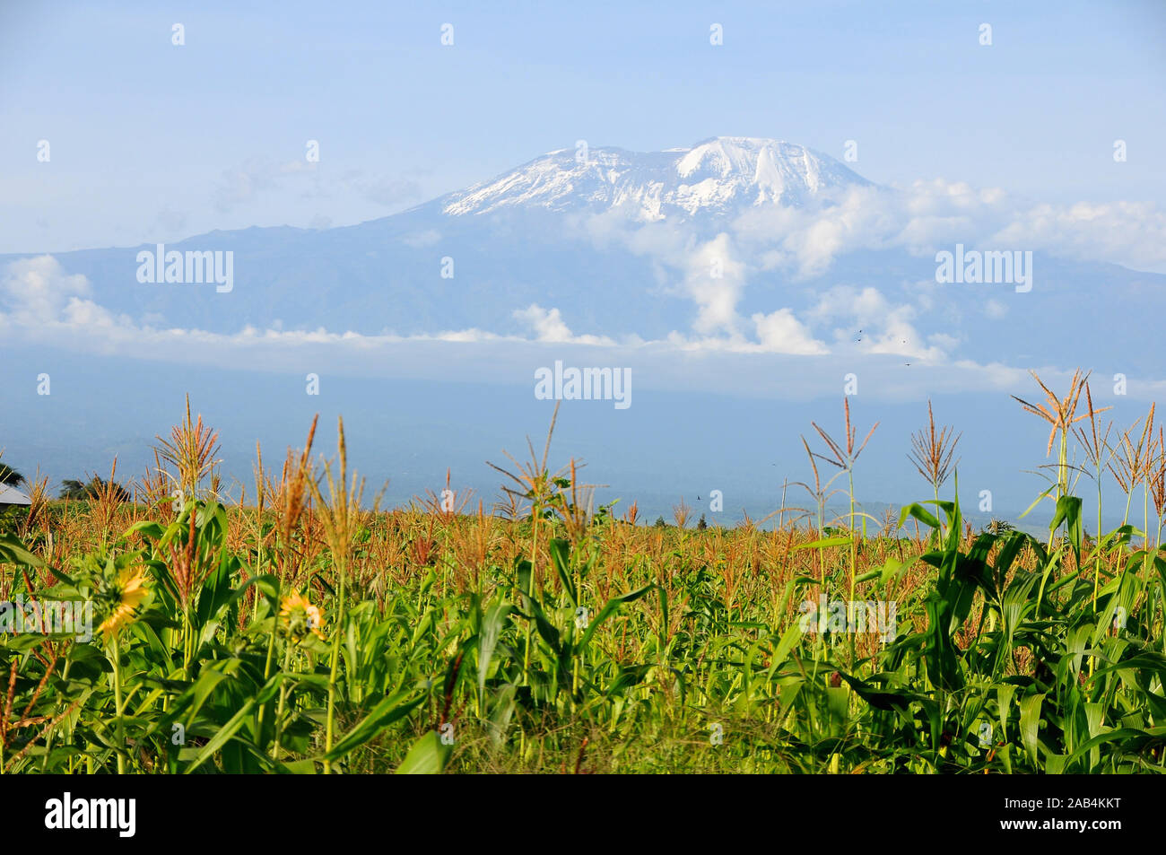 Mount Kilimanjaro Moshi Tanzania Africa Stockfotos und -bilder Kaufen ...