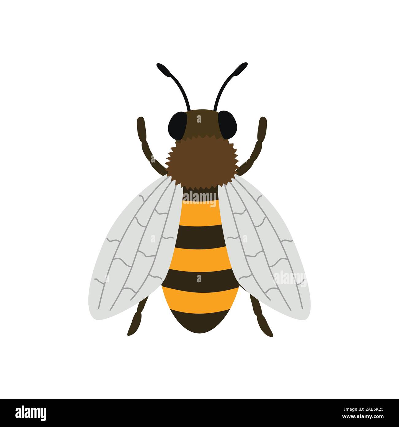 Fliegende biene illustration Stock-Vektorgrafiken kaufen - Alamy