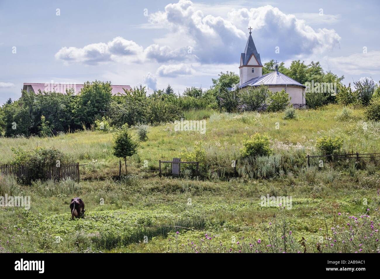 Als königin des rosenkranzes -Fotos und -Bildmaterial in hoher Auflösung – Alamy