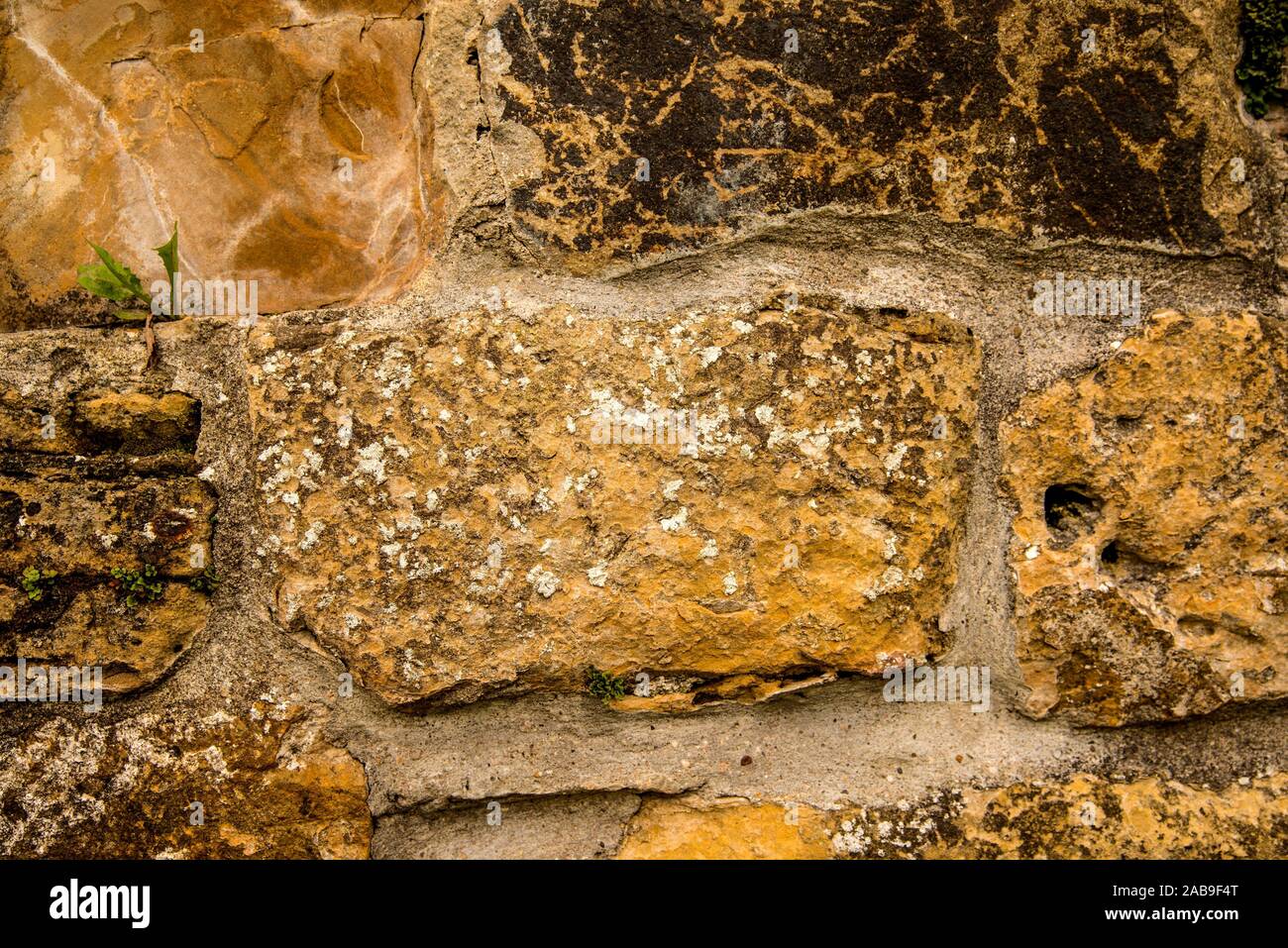 Burg mauer deutschland -Fotos und -Bildmaterial in hoher Auflösung – Alamy