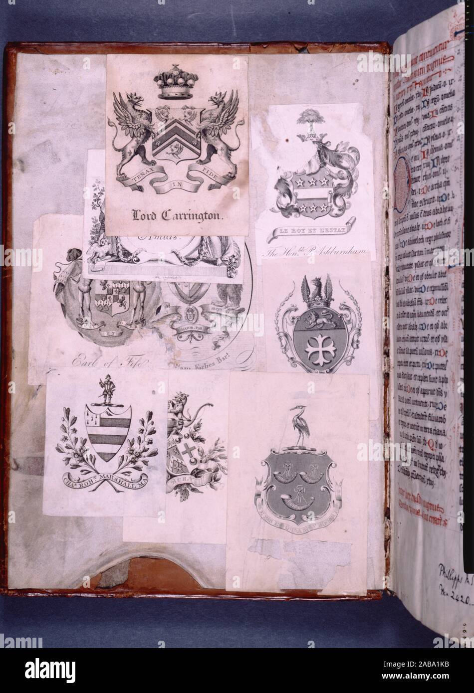 Ex sammlung -Fotos und -Bildmaterial in hoher Auflösung – Alamy