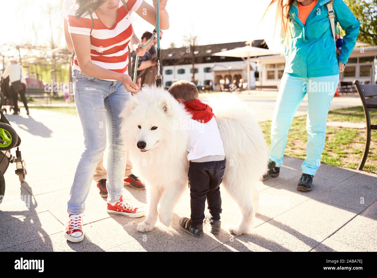 Hund Mit Mensch Stockfotos und -bilder Kaufen - Alamy