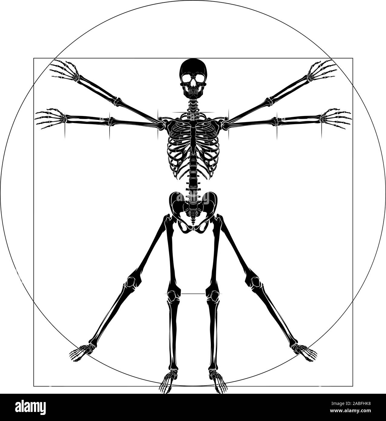Vitruvianischer Mensch Der Renaissance Zeichnung Silhouette Png