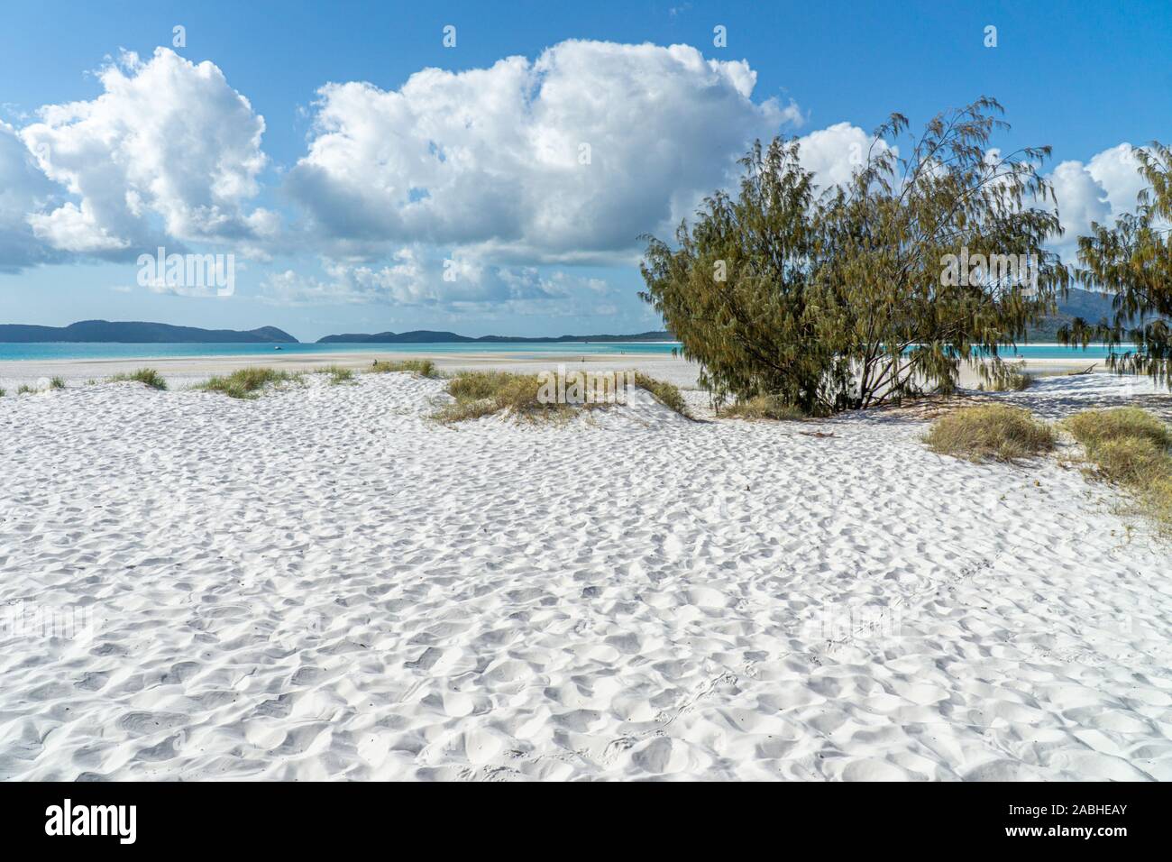 Der weisse Strand der Whitsunday Inseln in Australien, die aus 99 ...
