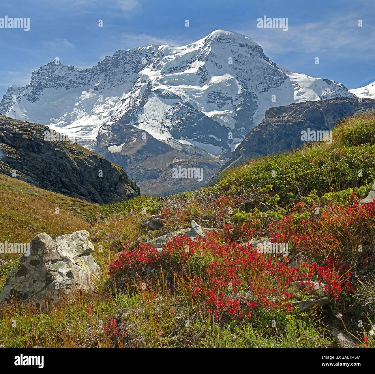 Walliser alpen -Fotos und -Bildmaterial in hoher Auflösung – Alamy