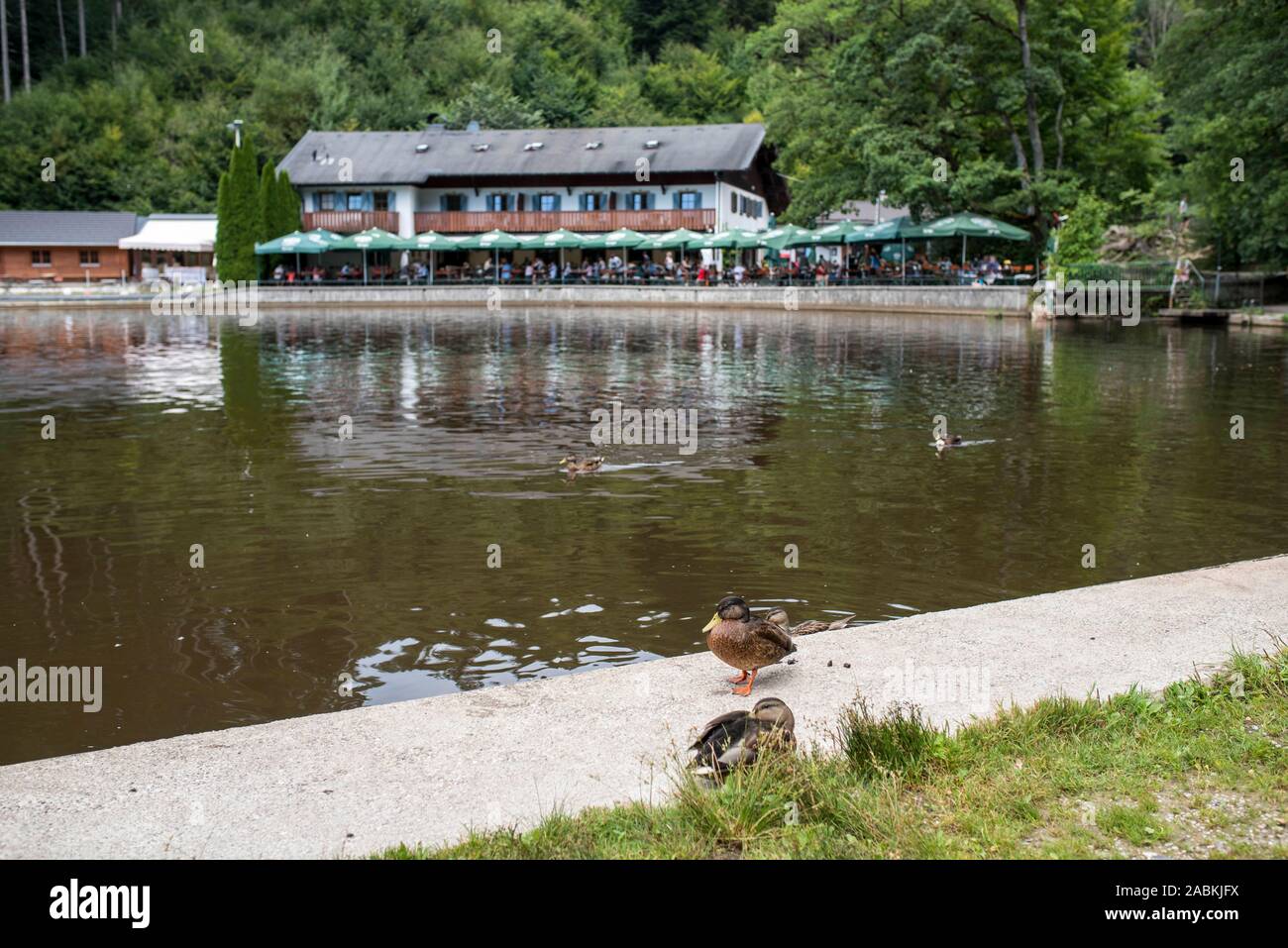 Deininger teich -Fotos und -Bildmaterial in hoher Auflösung – Alamy