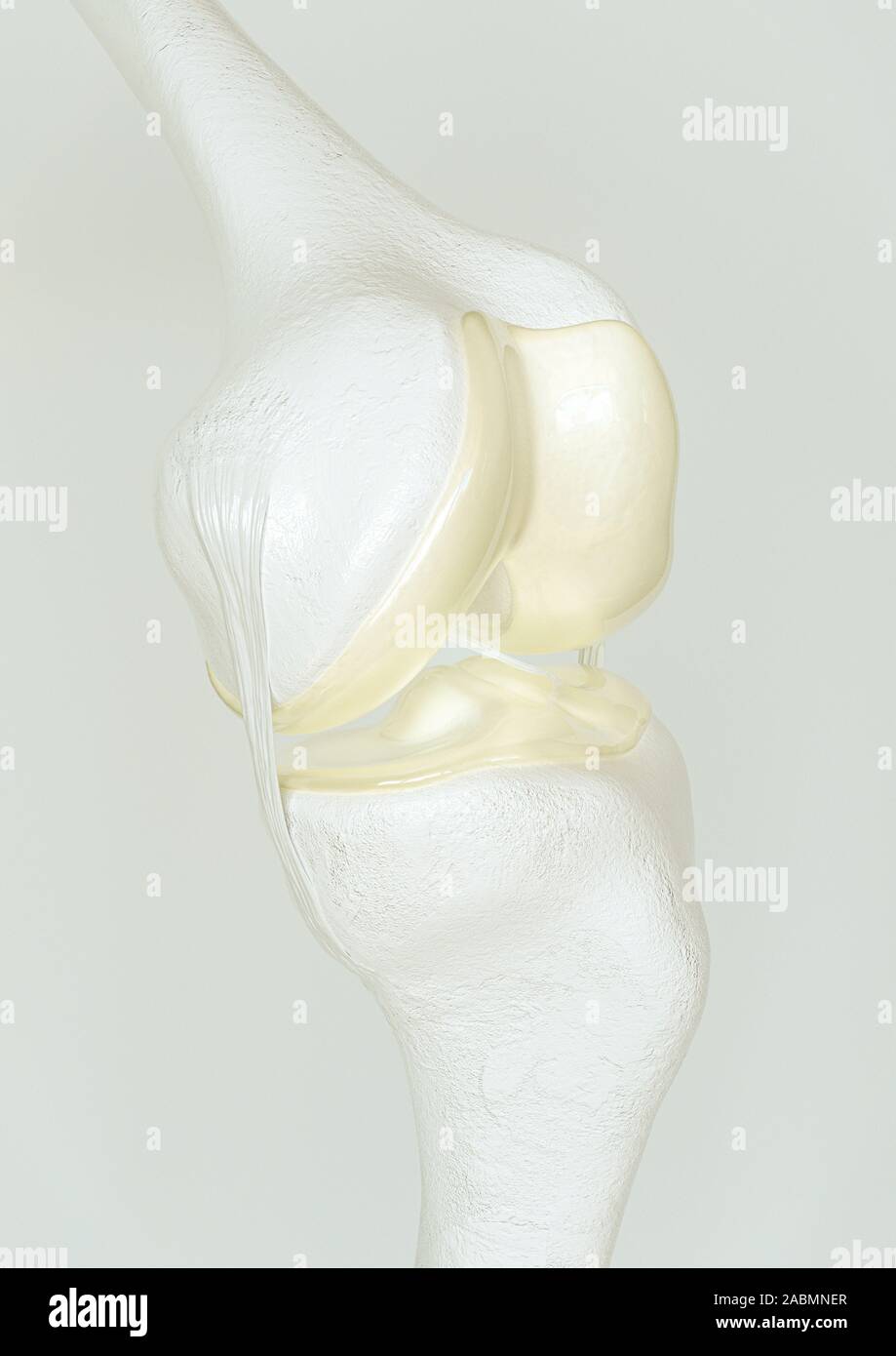 Gesundes knie -Fotos und -Bildmaterial in hoher Auflösung – Alamy