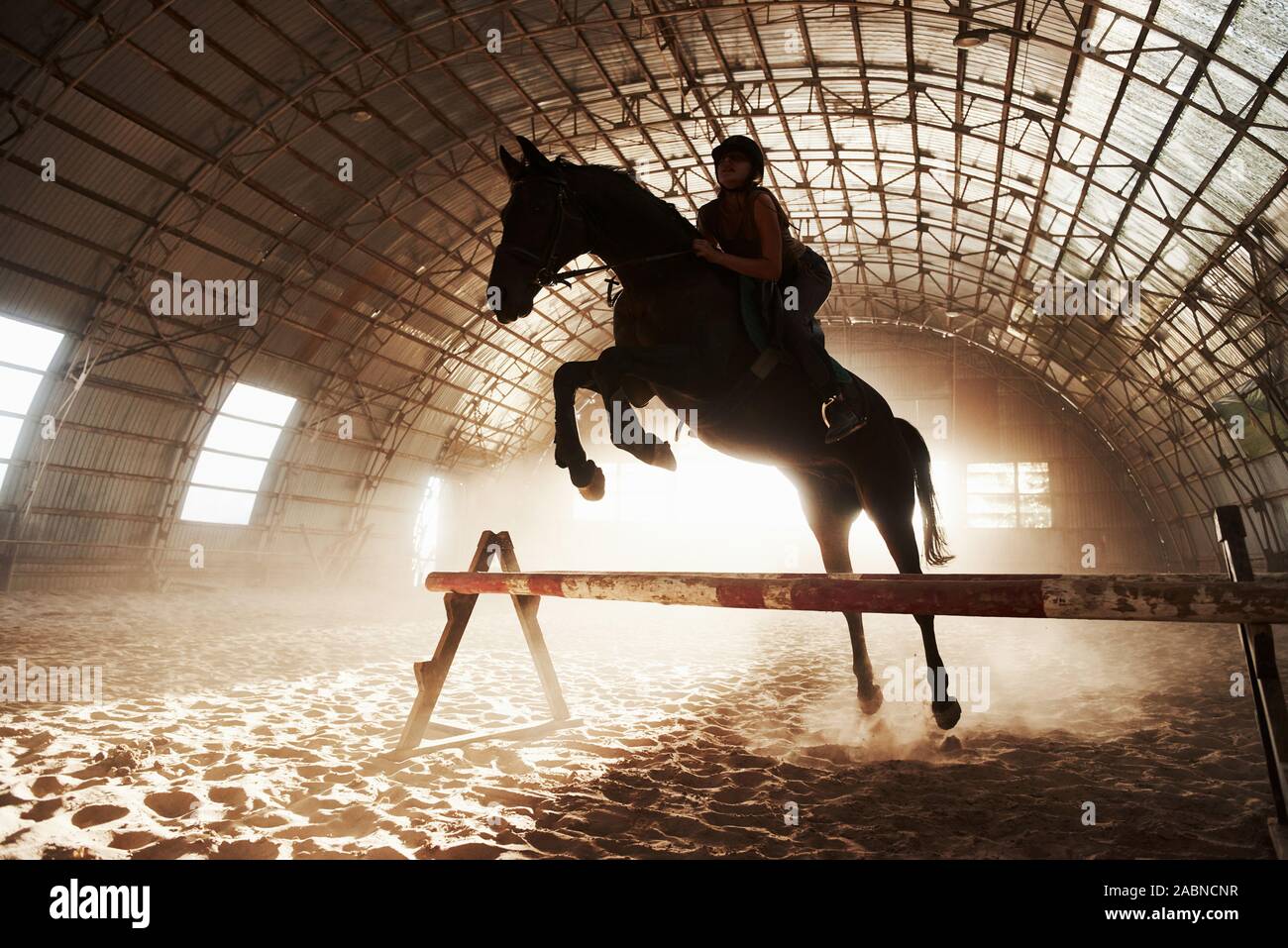 Dressurreiter und Pferd Stockfotos und -bilder Kaufen - Alamy