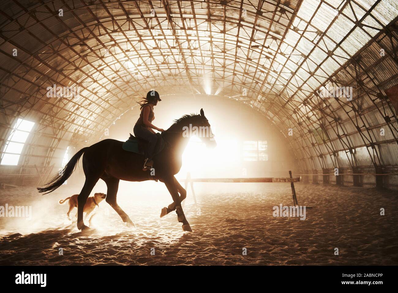 Dressurreiter Auf Pferd Stockfotos und -bilder Kaufen - Alamy