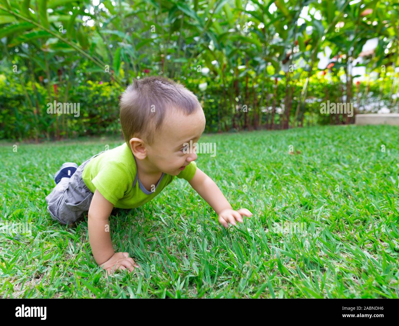 Lernen zu kriechen -Fotos und -Bildmaterial in hoher Auflösung – Alamy