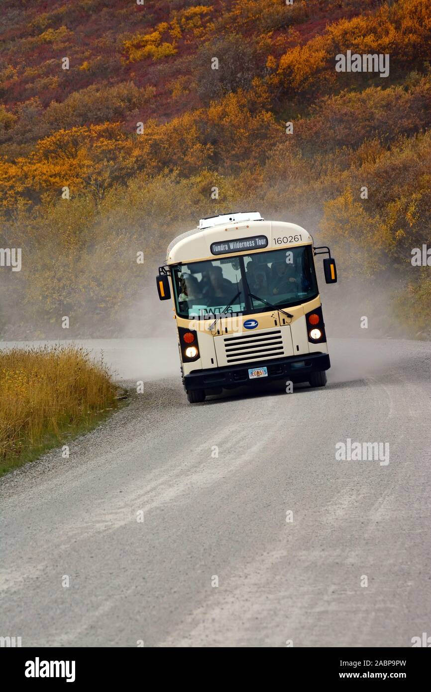 Denali National Park Shuttle Bus Stockfotos und -bilder Kaufen - Alamy