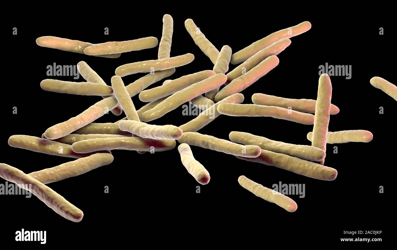 Mycobacterium Leprae Stockfotos & Mycobacterium Leprae Bilder - Alamy
