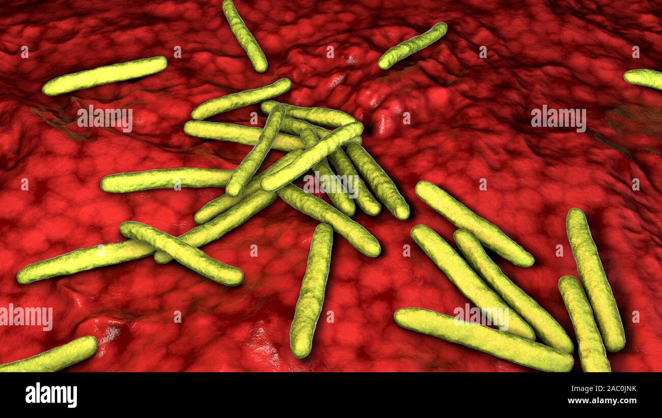 Mycobacterium Leprae Stockfotos & Mycobacterium Leprae Bilder - Alamy
