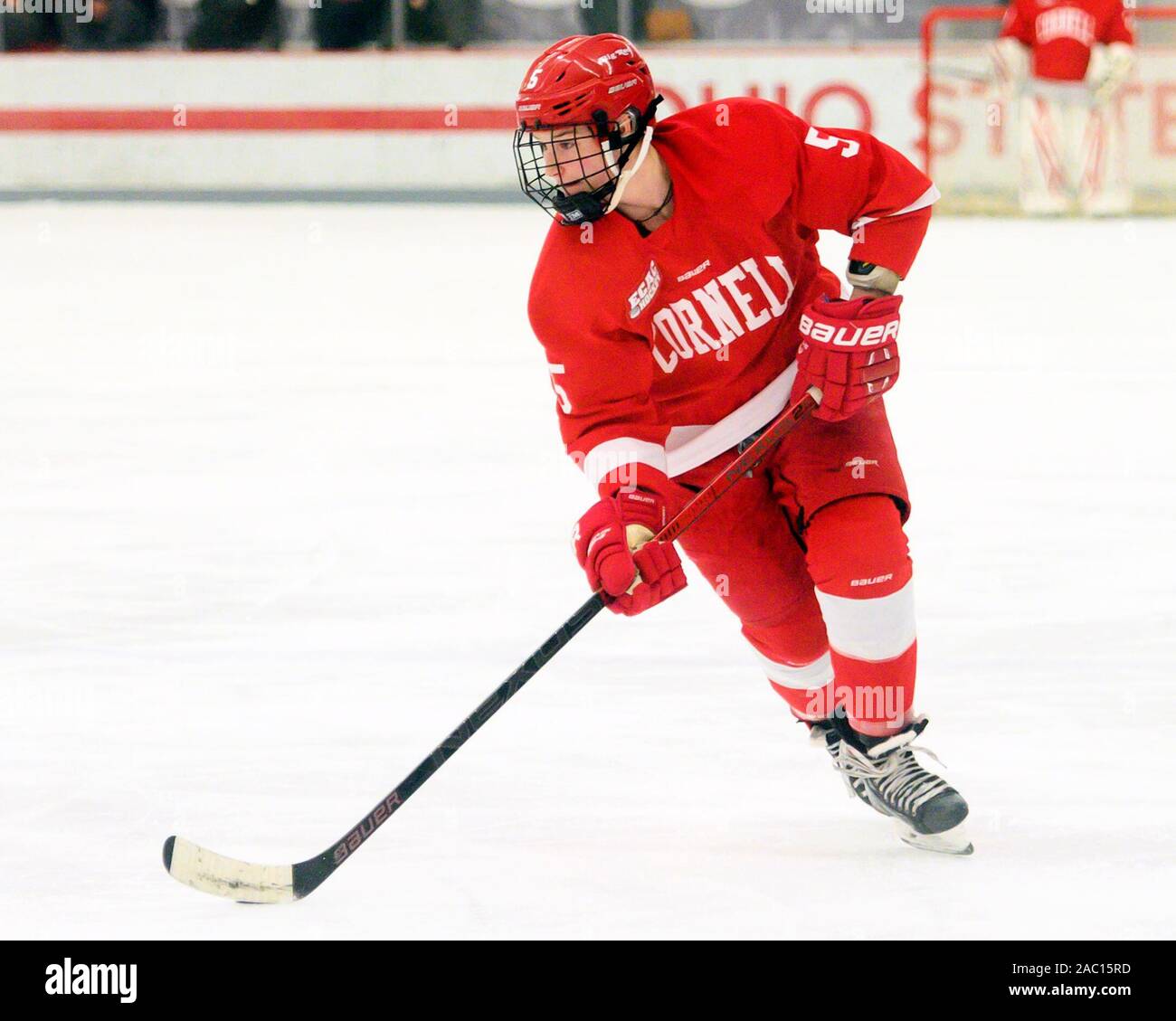 Cornell groß rot -Fotos und -Bildmaterial in hoher Auflösung – Alamy