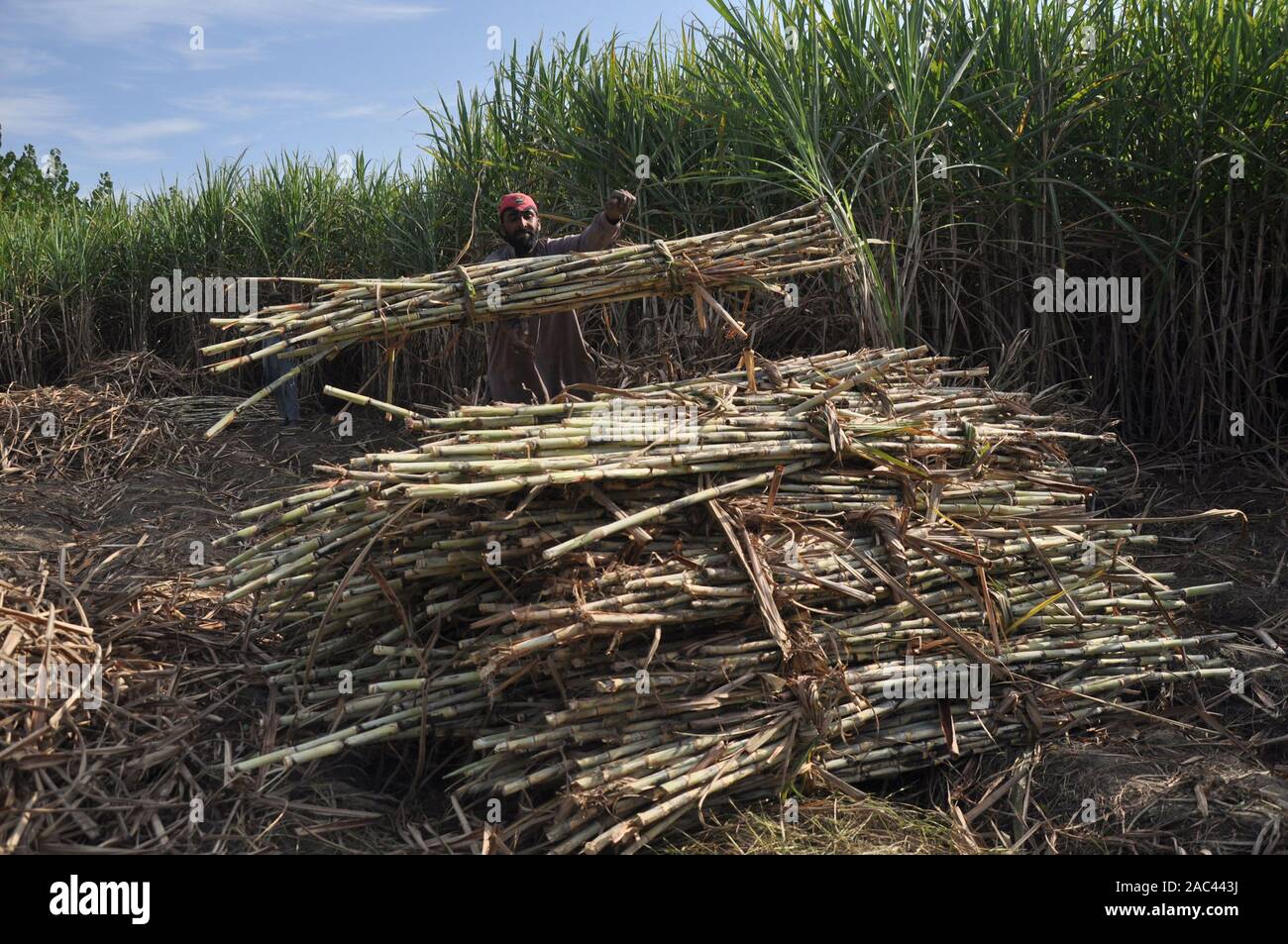Peshawar, Pakistan. 30 Nov, 2019. Blick auf die traditionelle süße los ...