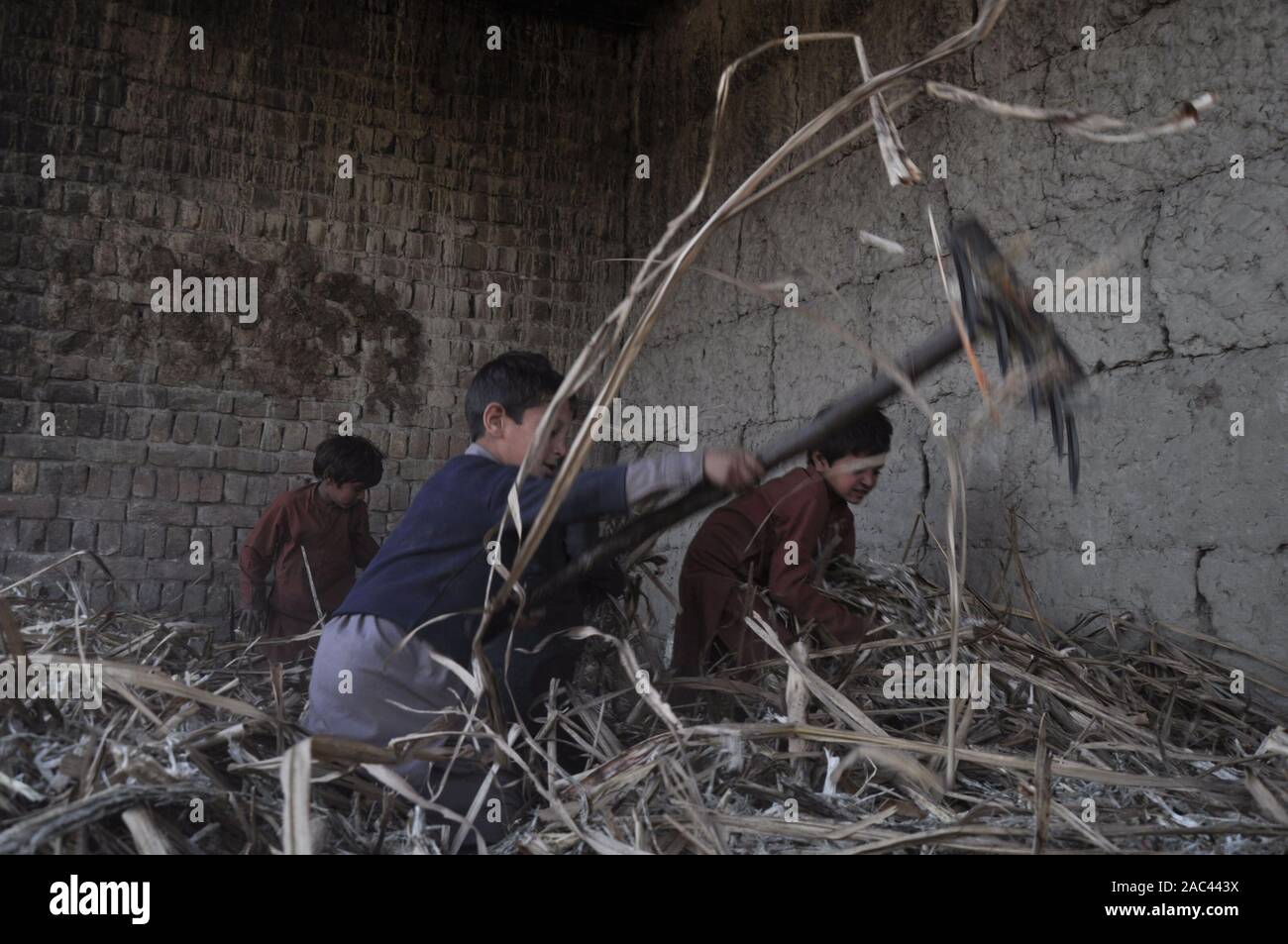 Peshawar, Pakistan. 30 Nov, 2019. Blick auf die traditionelle süße los ...