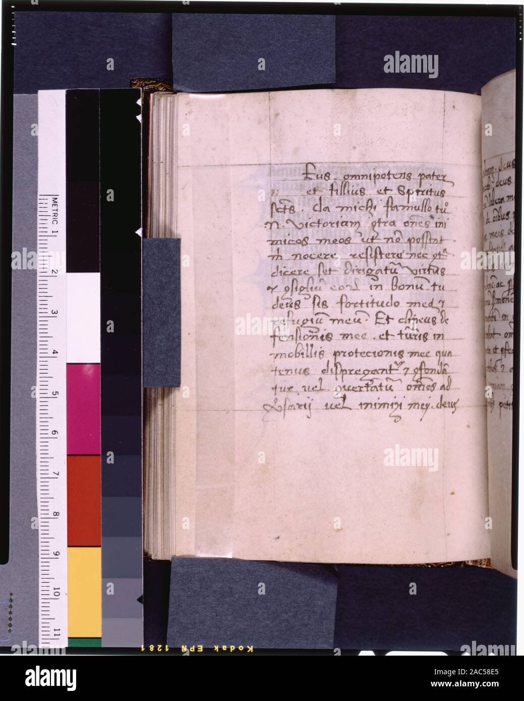 Seite 6; Platz für erste in De Ricci, Seymour, Volkszählung ...