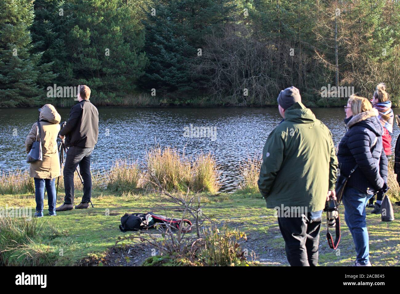 Barcud trail -Fotos und -Bildmaterial in hoher Auflösung – Alamy