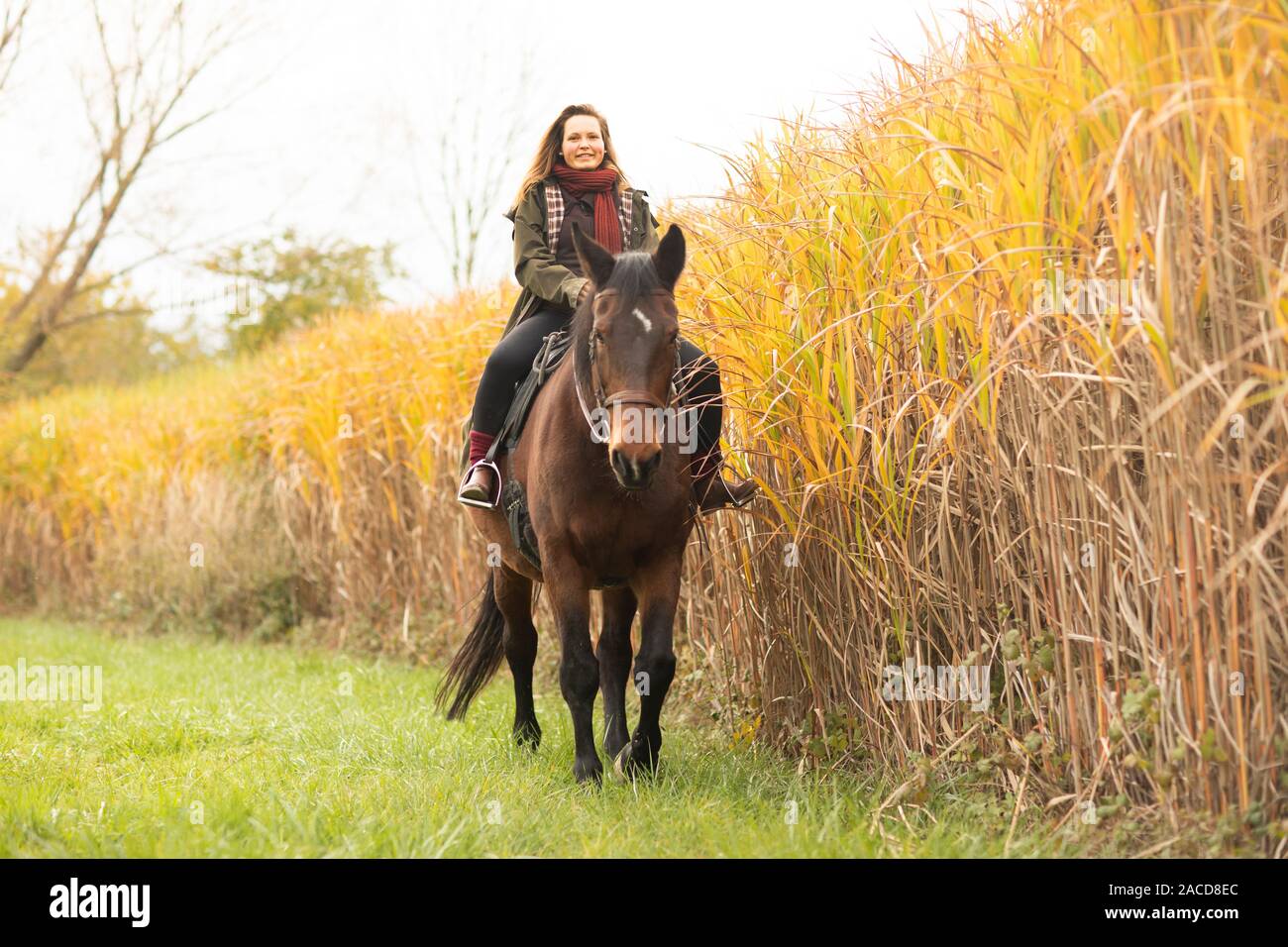 Reiterin reiterin reiterin -Fotos und -Bildmaterial in hoher Auflösung ...