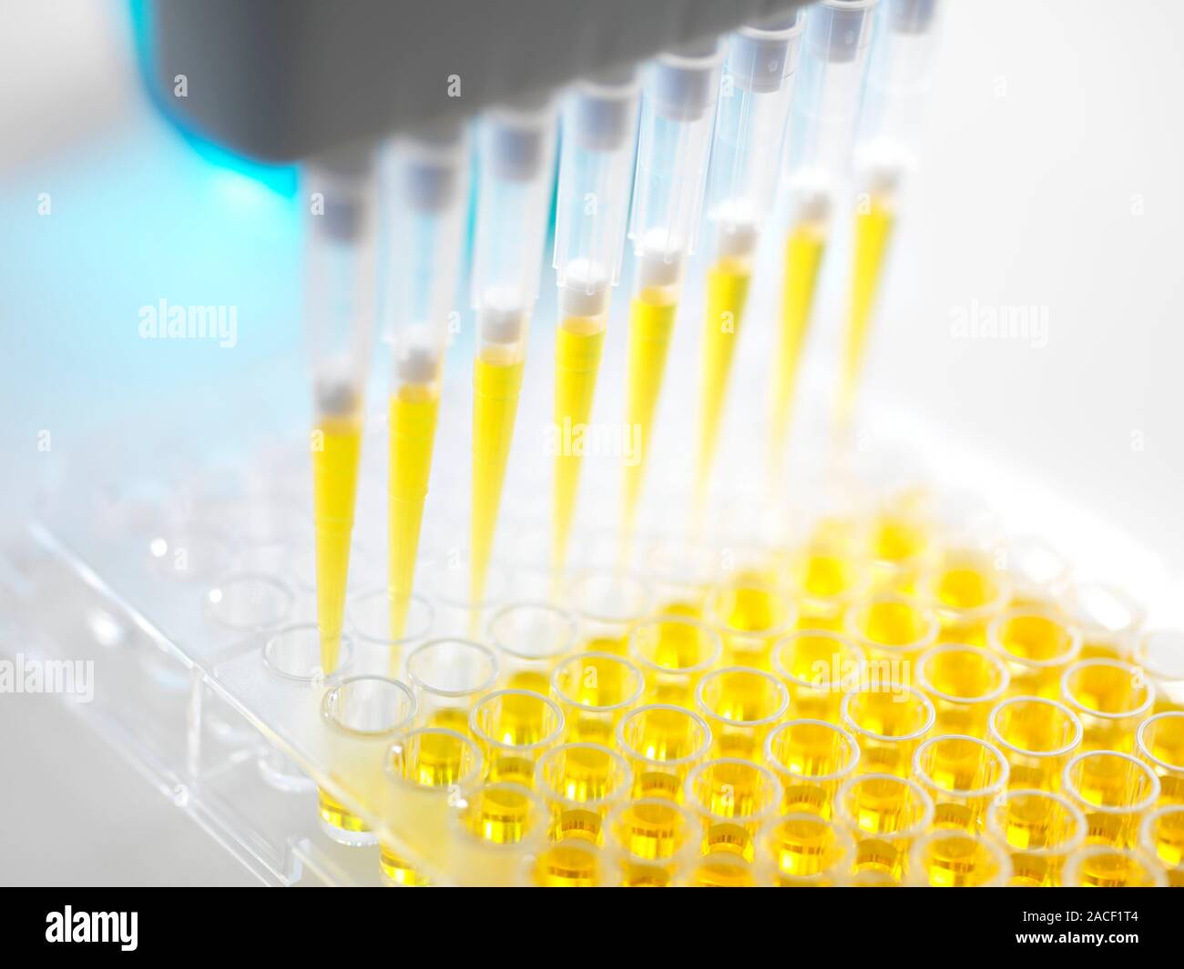 Multi-pipette Füllen einer multi-gut schließen. eines multi-Pipette ...