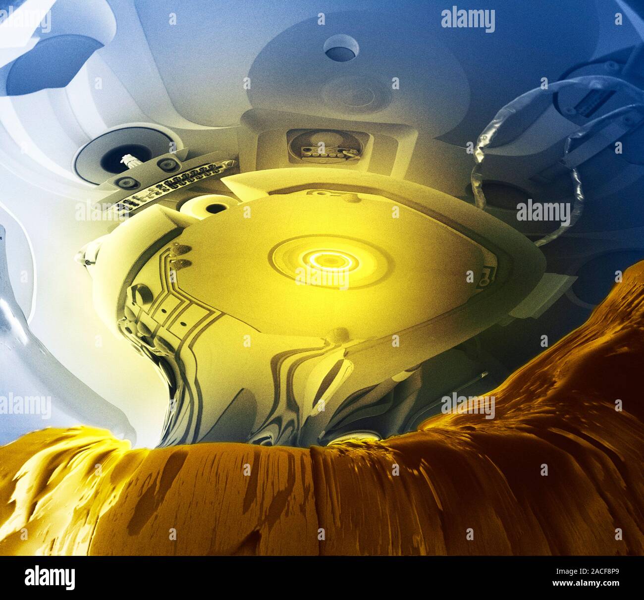 Scanning Electron Microscope. Farbige Scanning Electron Micrograph (SEM ...