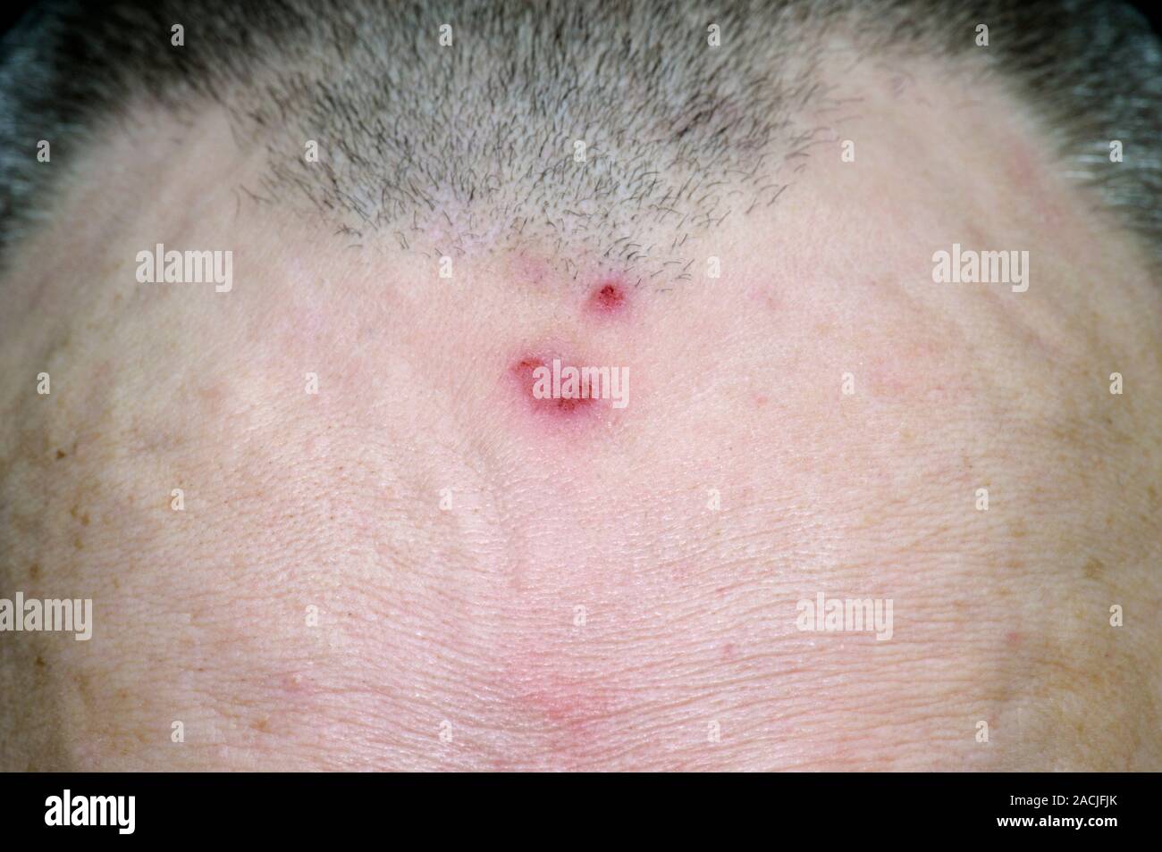 Nicht für den Einsatz im Fernsehen nicht für die Verwendung im ...