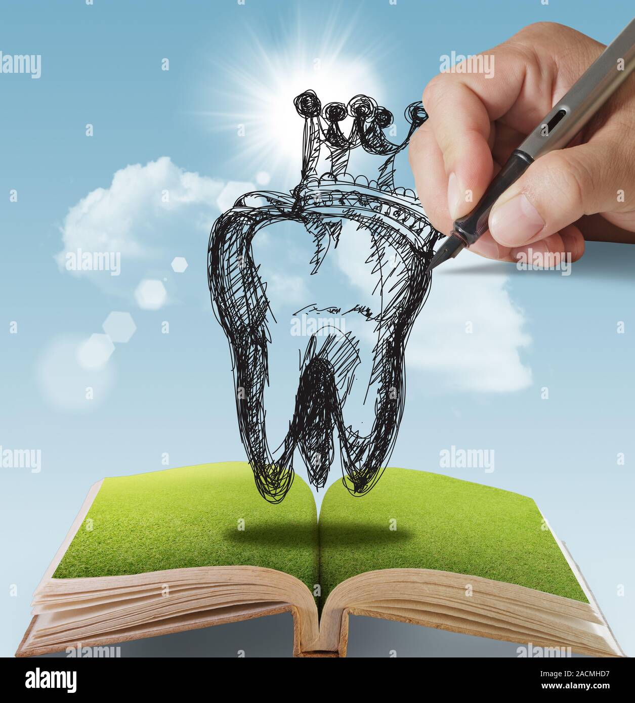 Handgezeichnete anatomie Stockfotos und -bilder Kaufen - Alamy