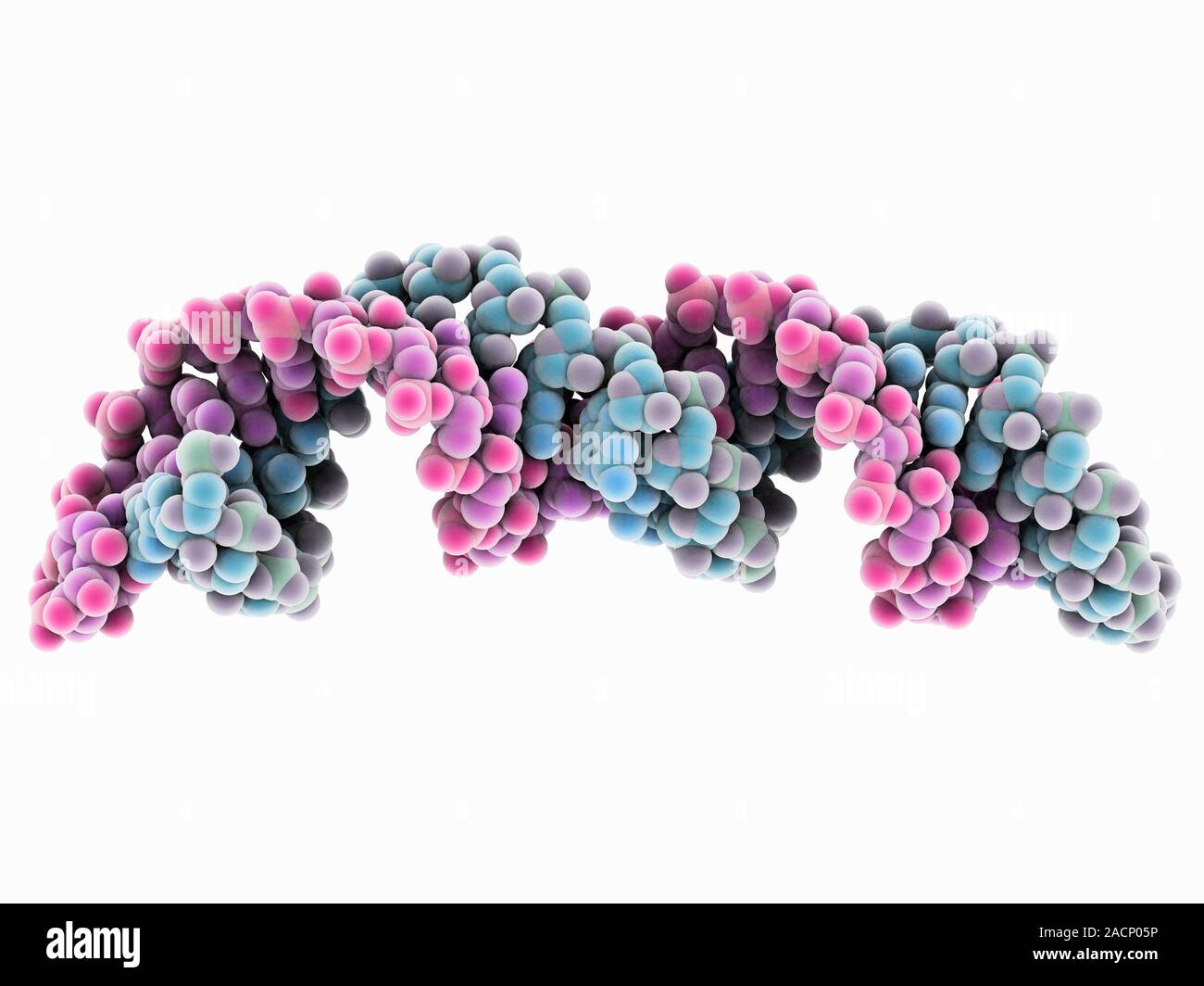 Signal Recognition Particle Rna Molekül Computer Modell Zeigt Die