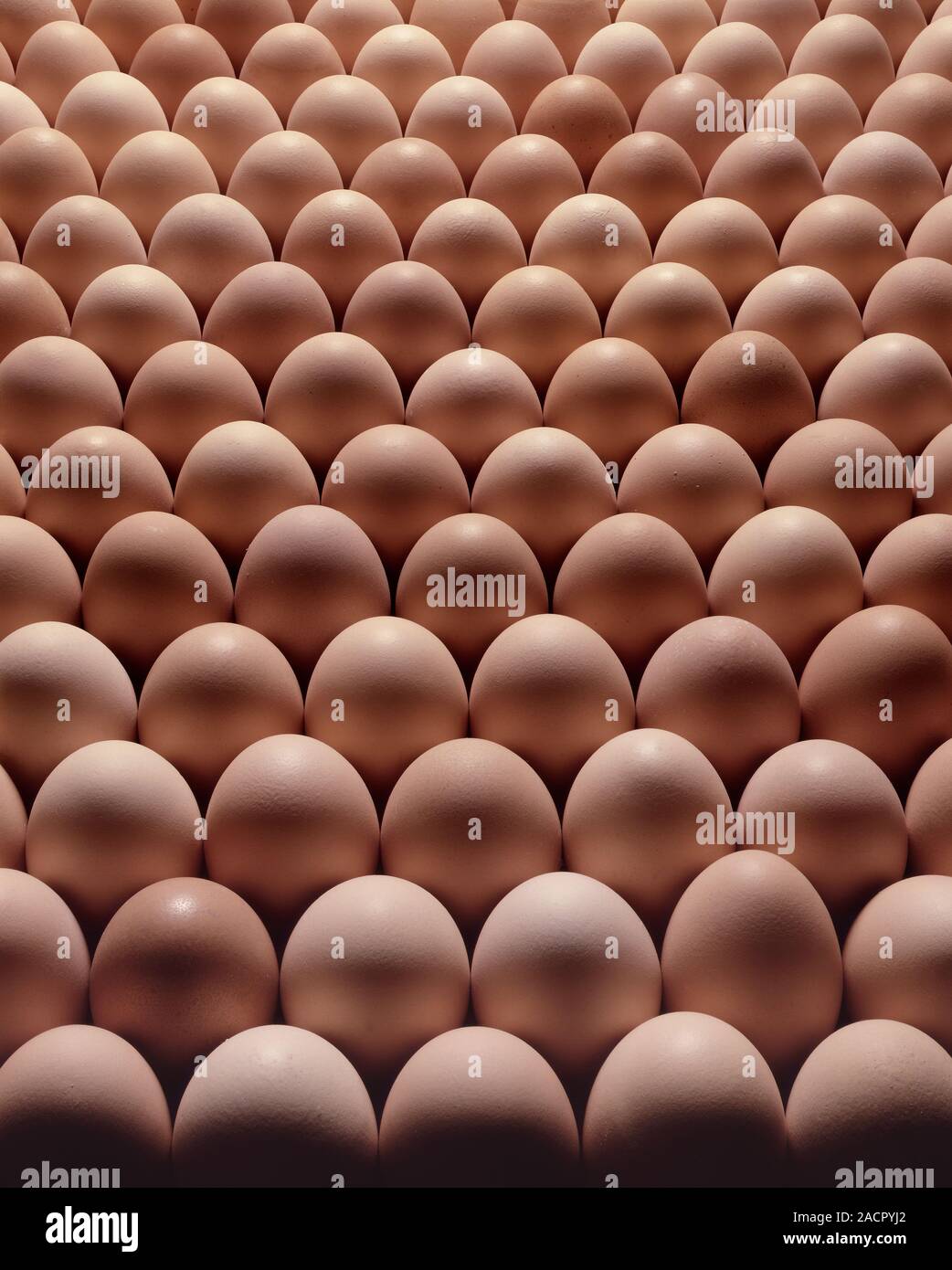 Gleichbleibende masse -Fotos und -Bildmaterial in hoher Auflösung – Alamy