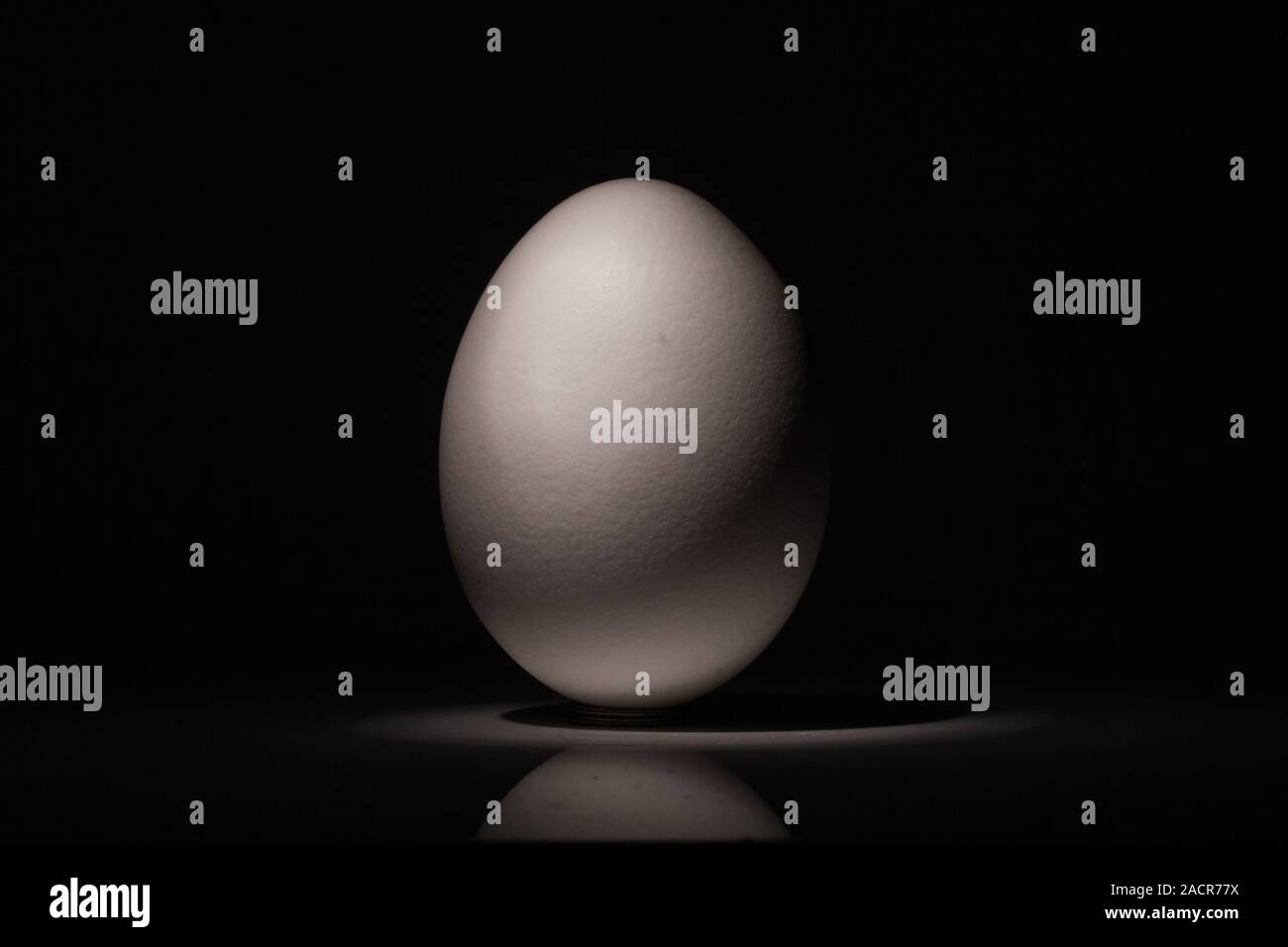 Perfektes ei -Fotos und -Bildmaterial in hoher Auflösung – Alamy