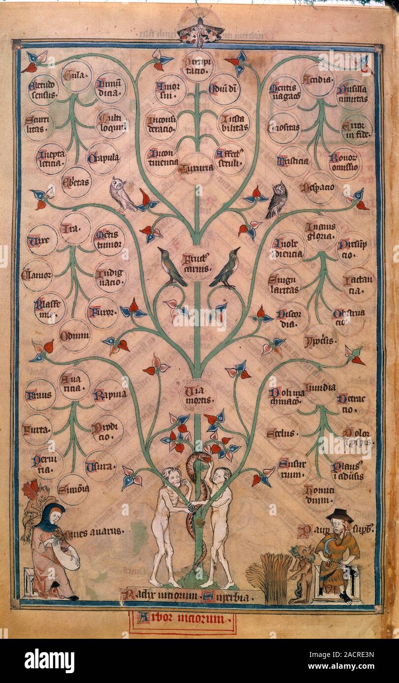 Baum der Laster, Ganze folio Der Baum besteht aus 7 Niederlassungen ...
