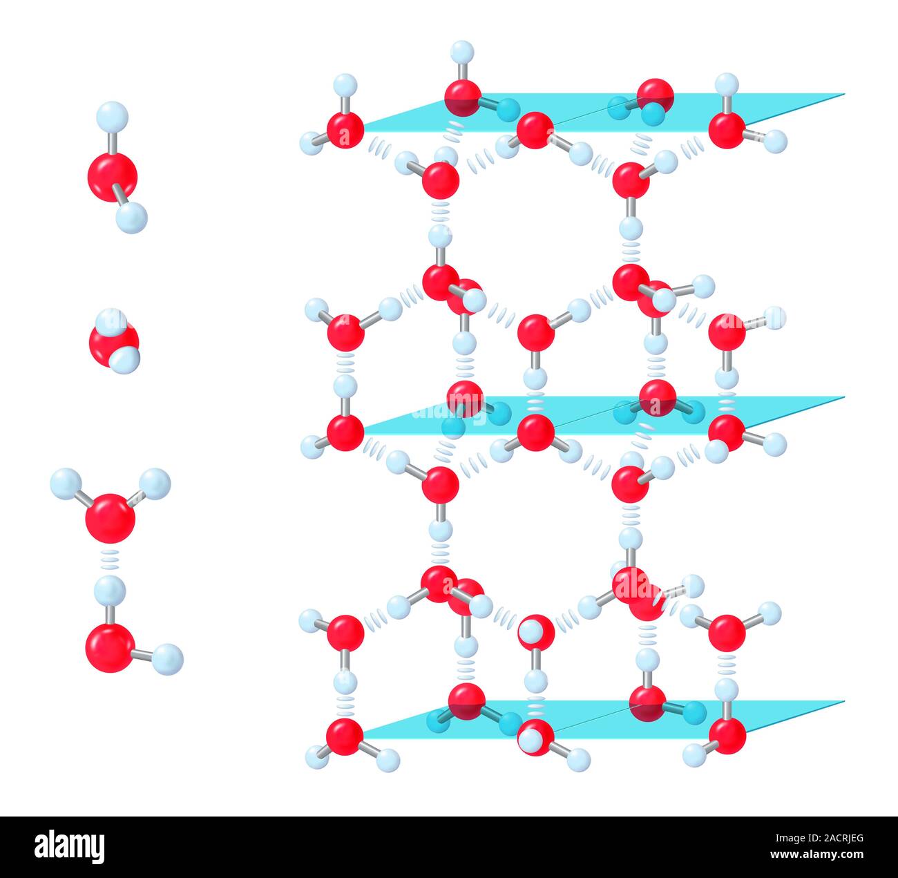 Struktur von Wasser, molekulare Modell. In diese Moleküle von Wasser ...