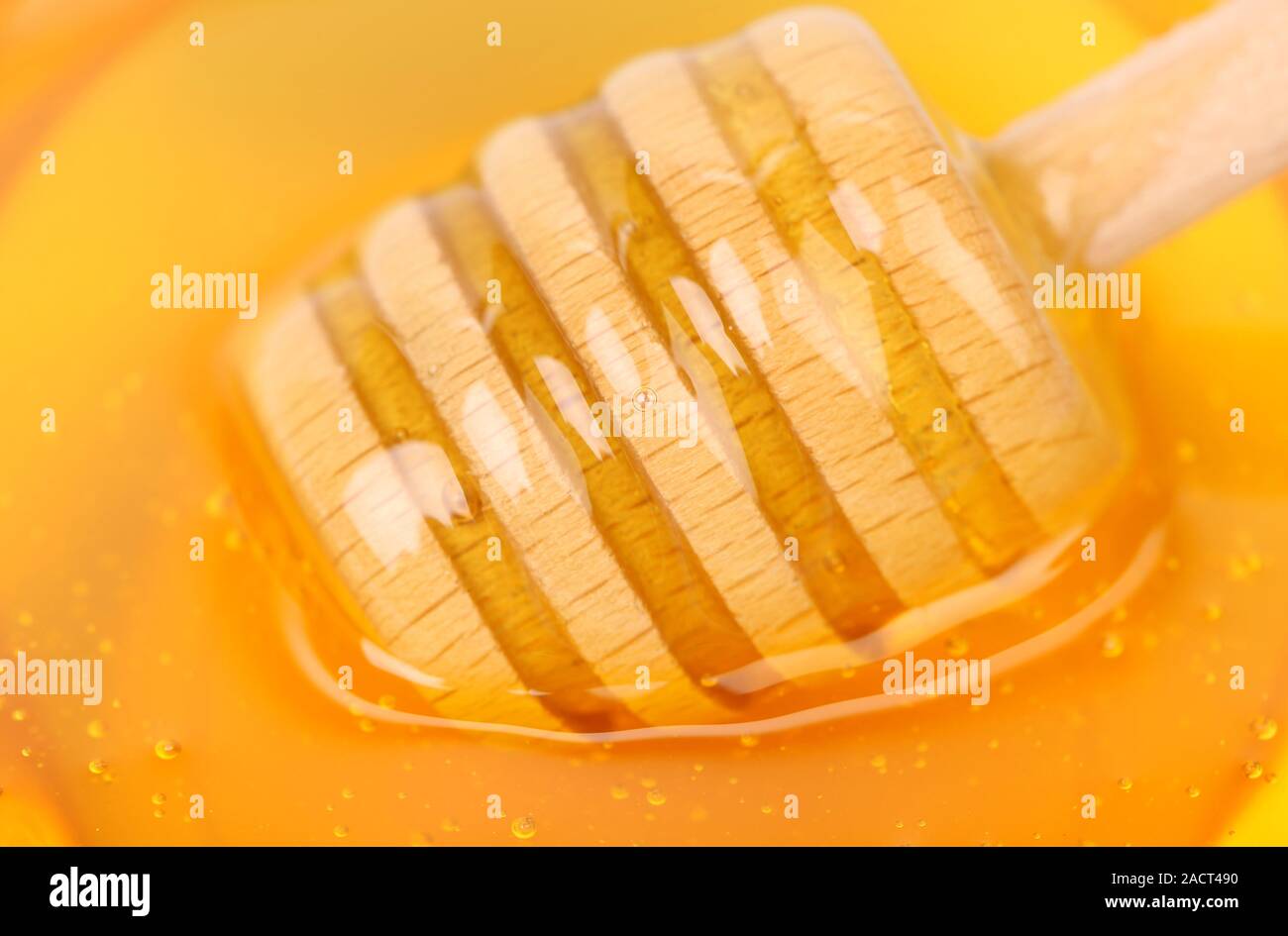 Bienenhonig wi -Fotos und -Bildmaterial in hoher Auflösung – Alamy