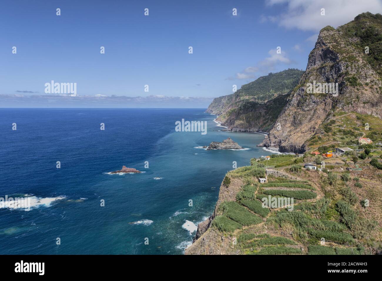 Madeira Portugal Vegetation Stockfotos und -bilder Kaufen - Alamy