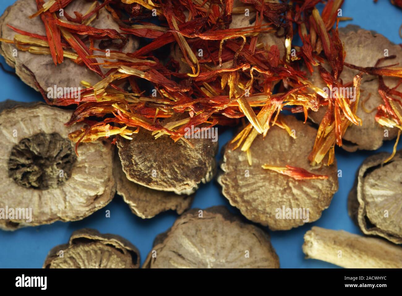Wilder safran -Fotos und -Bildmaterial in hoher Auflösung – Alamy