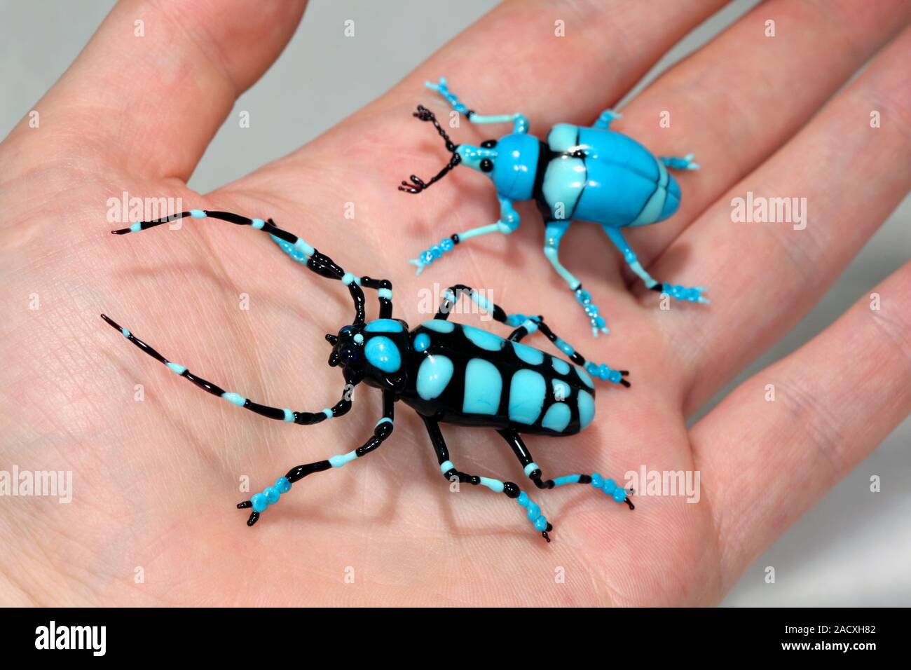 Käfer, Glasskulpturen, in der Hand einer Person statt. Dieses Glas ...