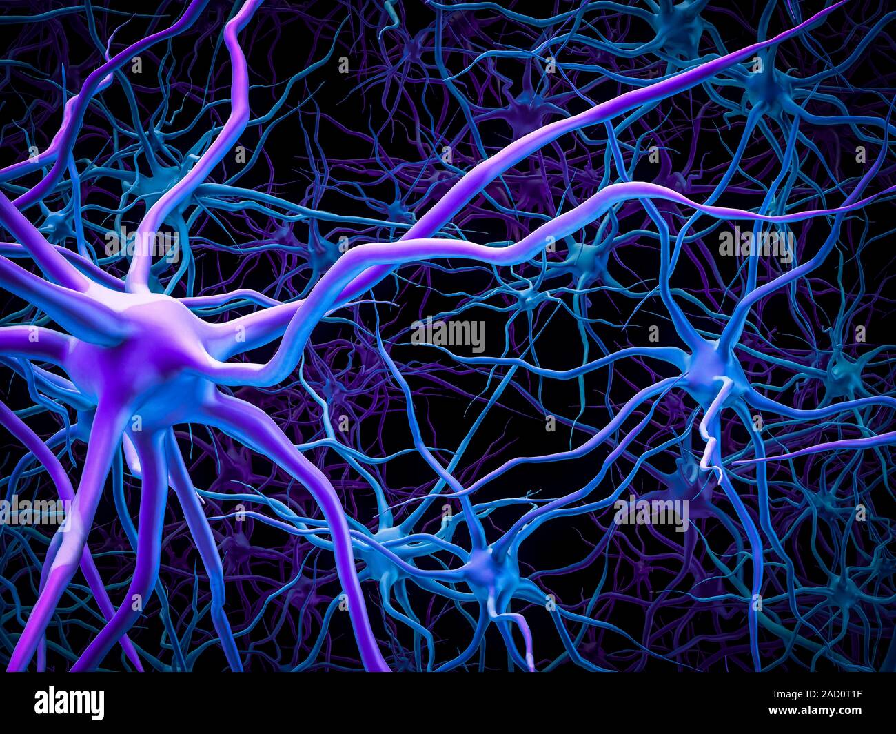 Neuronales Netz. Computer Abbildung von Nervenzellen oder Neuronen ...