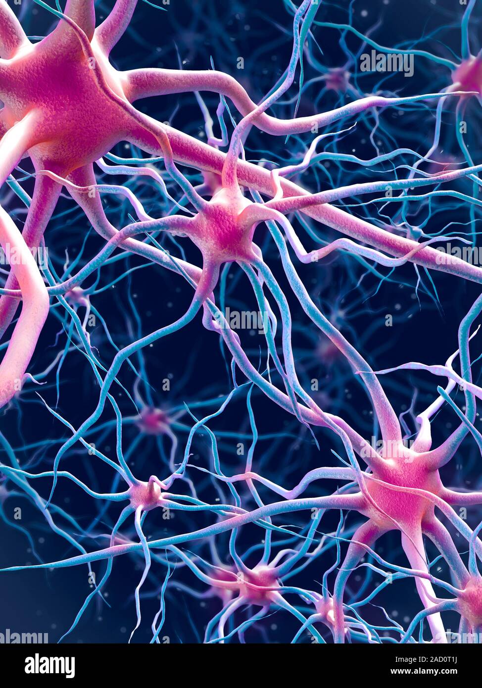 Neuronales Netz. Computer Abbildung von Nervenzellen oder Neuronen ...