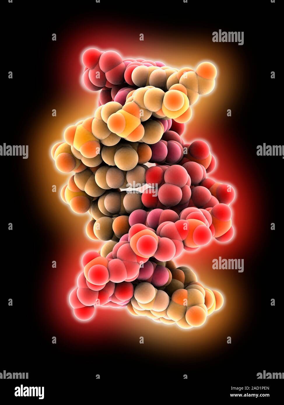 Molekulare Modell eines UV-geschädigter DNA (Desoxyribonukleinsäure ...