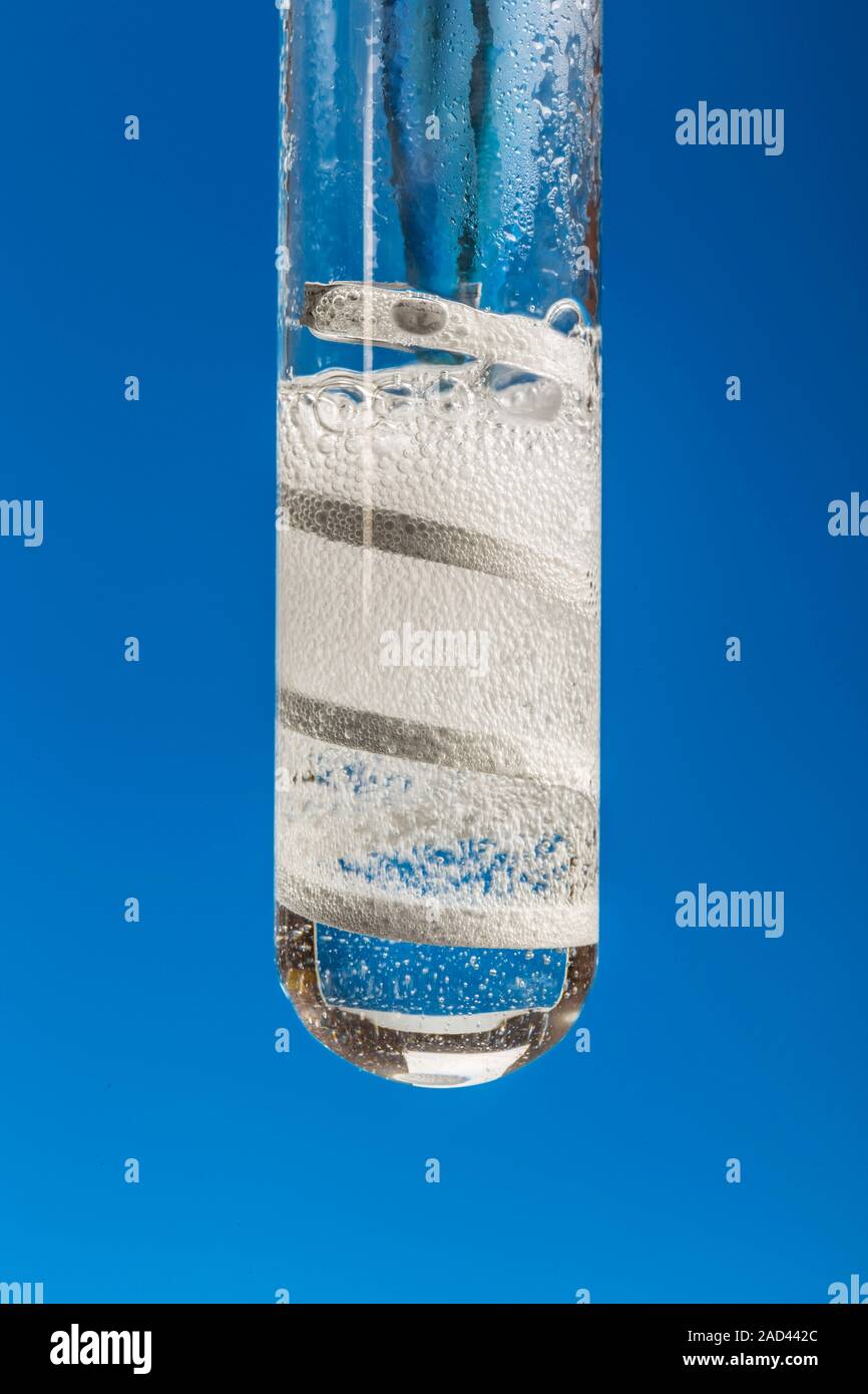 Magnesium ribbon in ethanoic (Essigsäure) Säure. Unverdünnt ethanoic ...