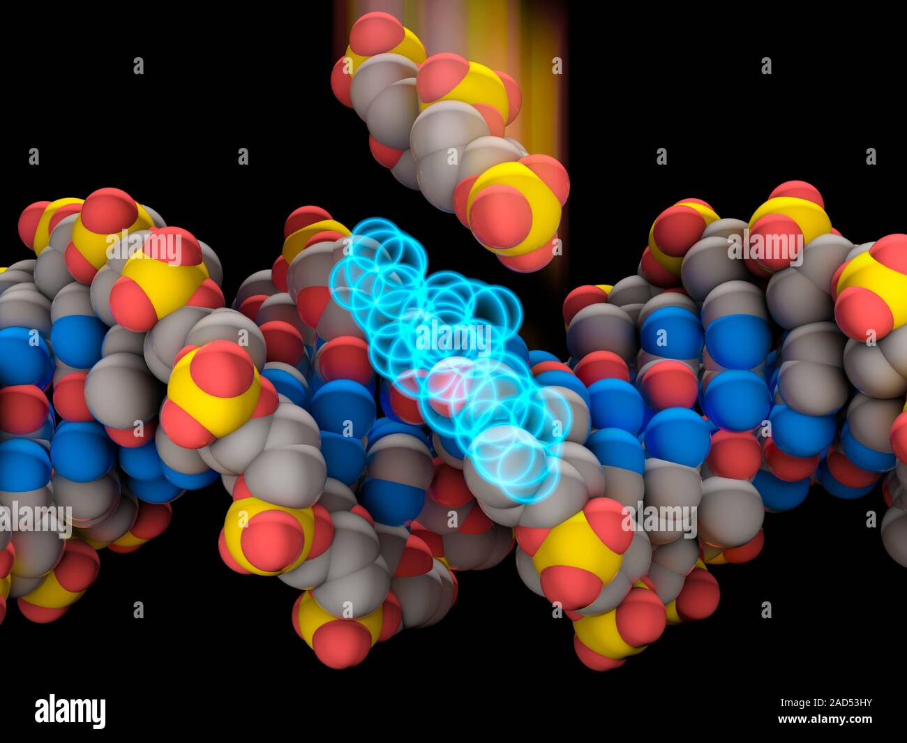 Prinzipdarstellung zeigt den Prozess der Crispr-Cas9-Gens Bearbeiten ...