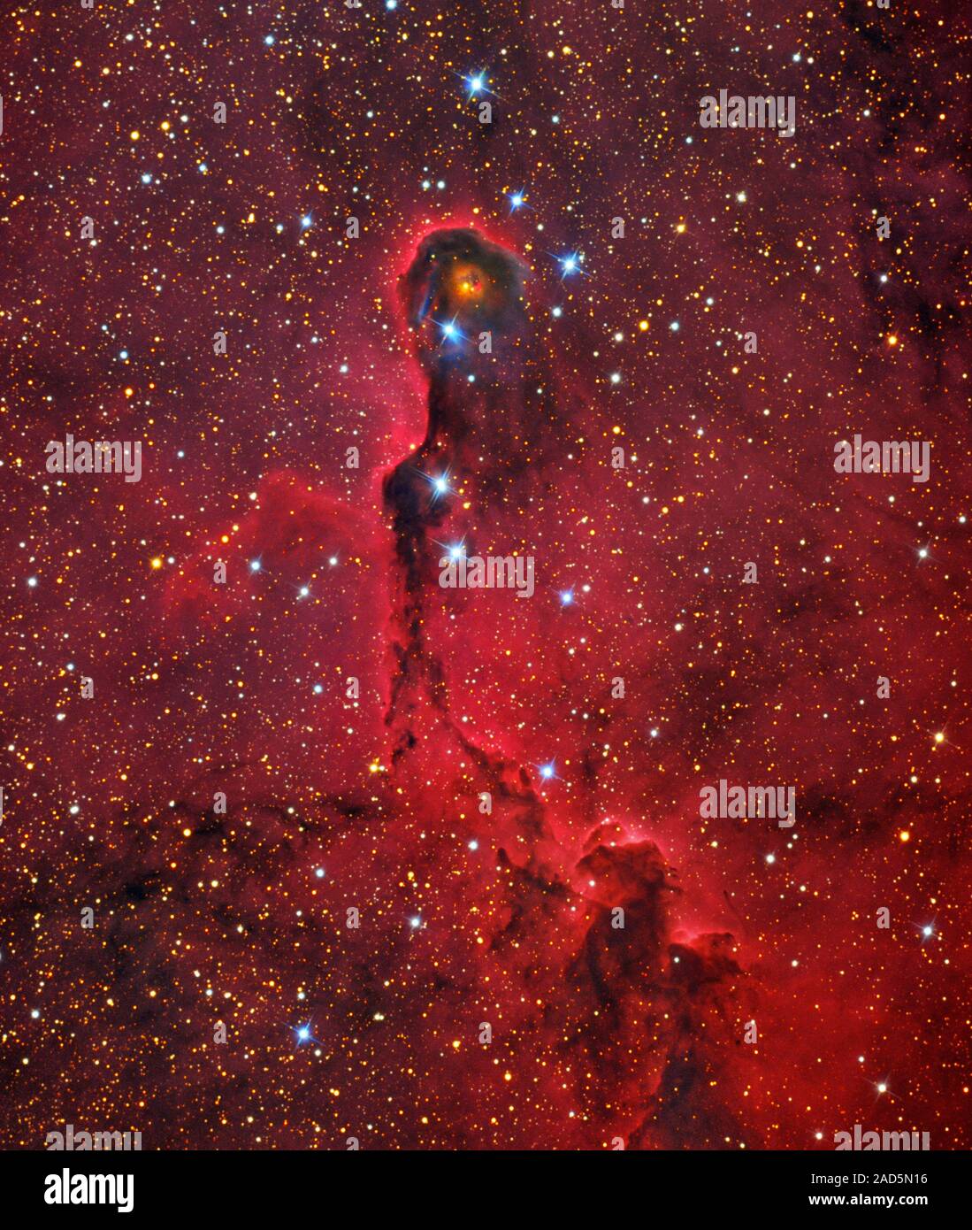 Das Elephant Trunk Nebula IC (1396), optische Bild. Dieser Nebel ist ...